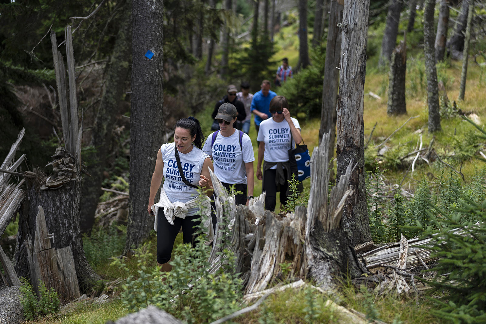 A Deep Dive Into Environmental Humanities - Colby News
