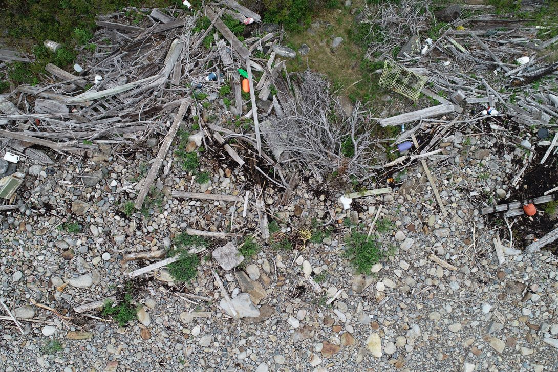 How AI is Helping Solve the Problem of Marine Debris - Colby News
